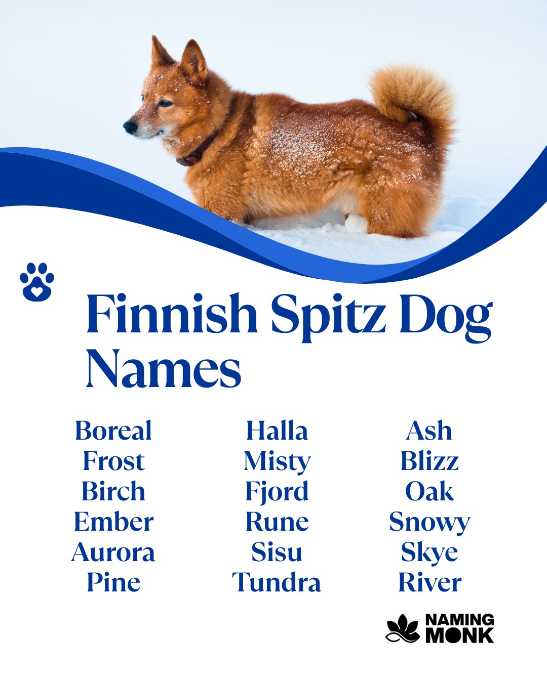101+ Hilarious, Regal & Cute Chow Chow Names You’ll Totally Steal