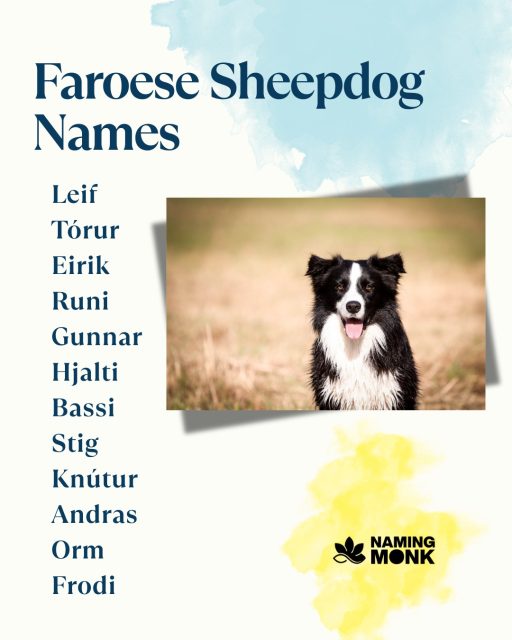 190+ Best Beagle Names That’ll Make Your Pup Howl with Pride